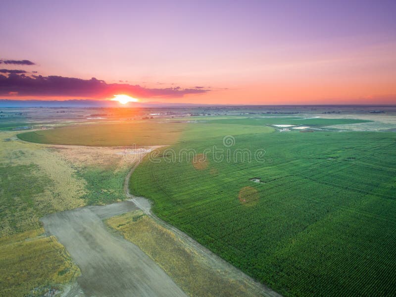 The Sun Setting Behind Crop Fields Stock Image - Image of harvest ...