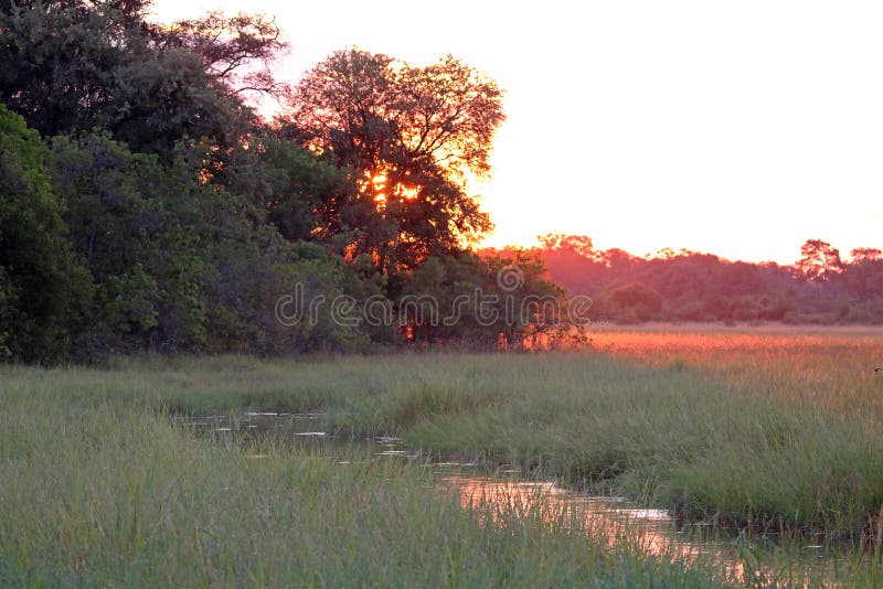 Sun Setting Behind Large Trees in African Bush with River in Foreground ...