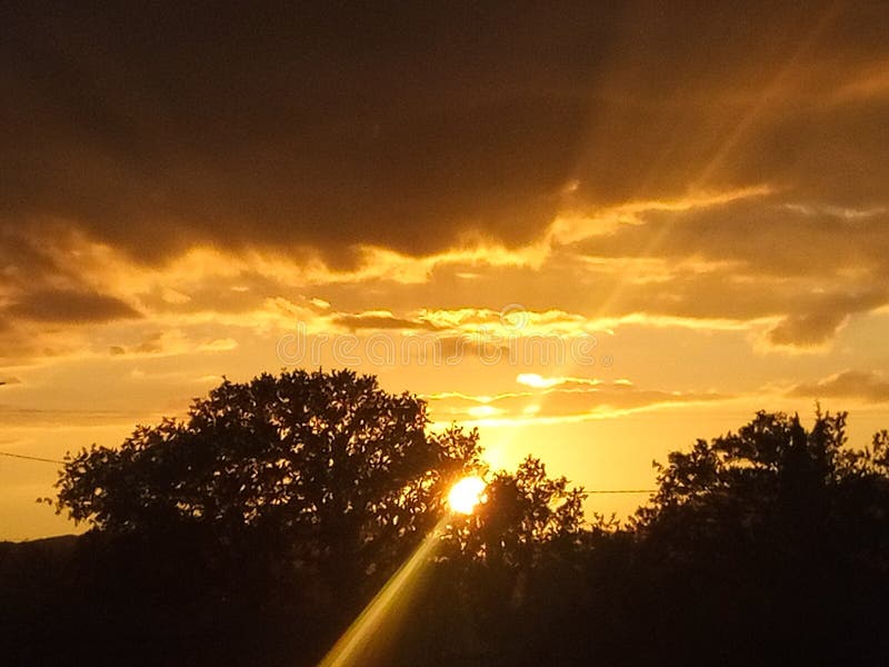 Sun Setting Behind a Tree and Its Sunbeams Illuminating the Sky and ...