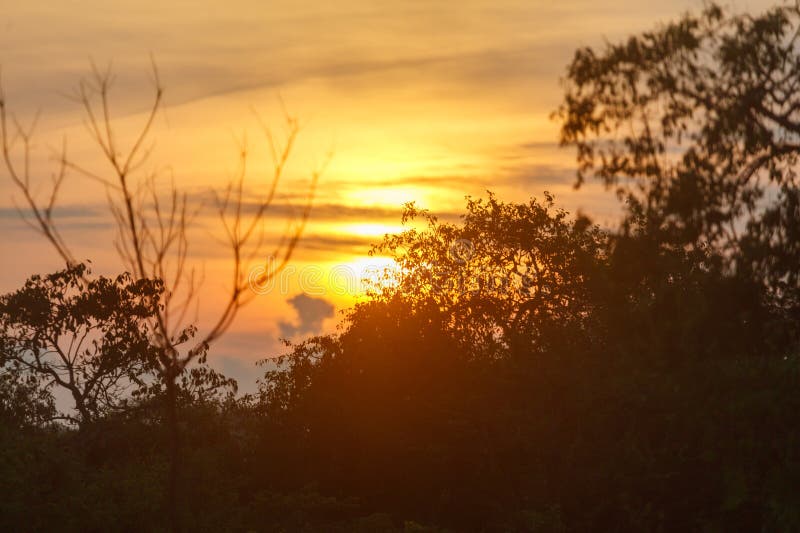 The Sun is Setting Behind the Trees, Casting a Warm Glow Over the ...