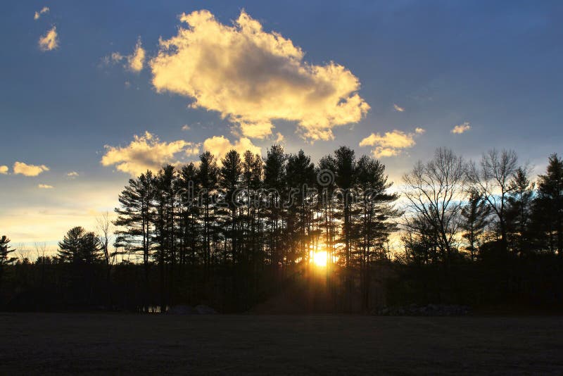 Sun Setting Behind the Trees Stock Image - Image of north, setting ...