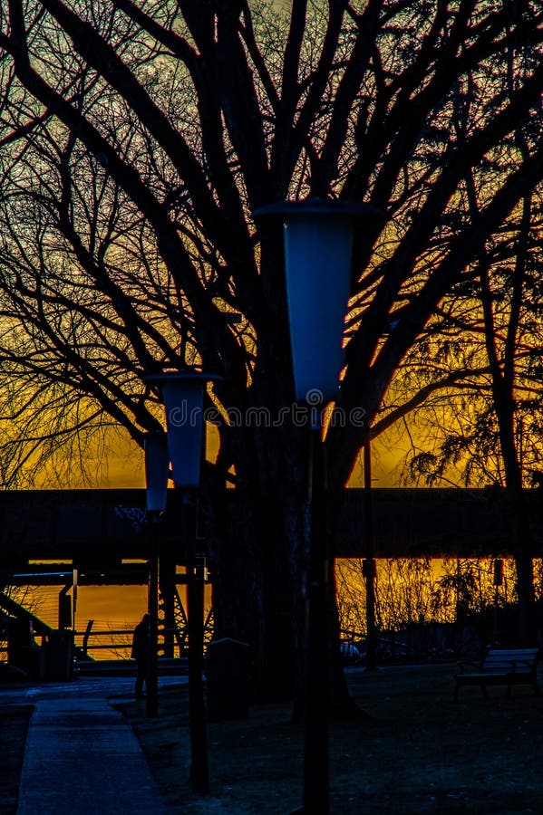 Sun Setting Behind Trees in Park Stock Photo - Image of setting, park ...