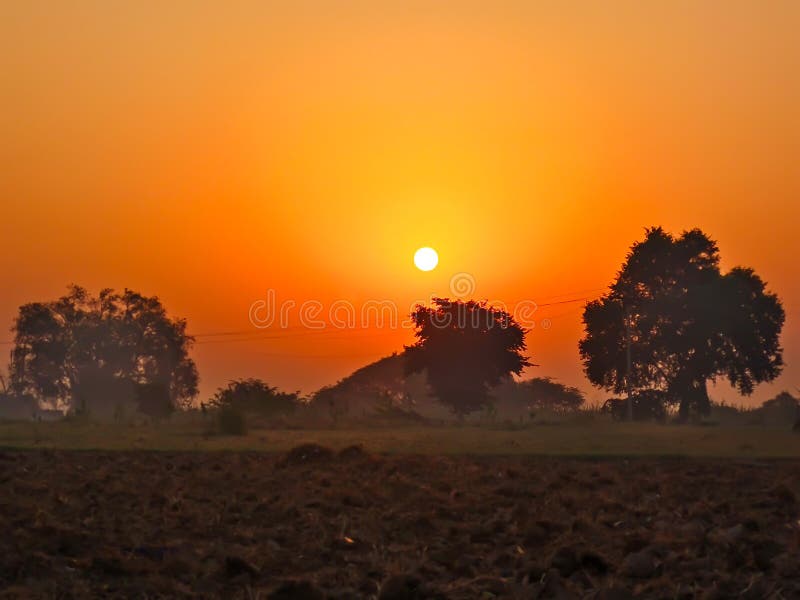 The Sun is Setting Behind the Trees Stock Photo - Image of landscape ...