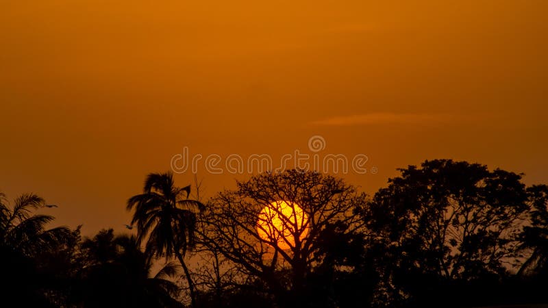 Sun Setting Behind Typical African Landscape and Trees. Silhouette of ...