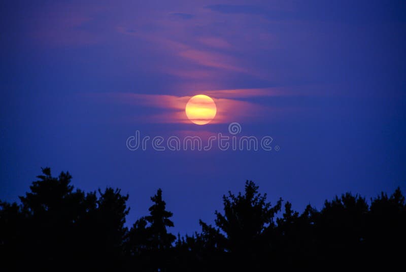Sun Setting in Blue Sky with Trees and Clouds Stock Photo - Image of ...