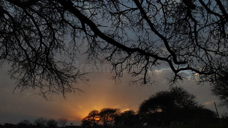 Sun Setting with Branches of Tree in Frame Stock Image - Image of coots ...