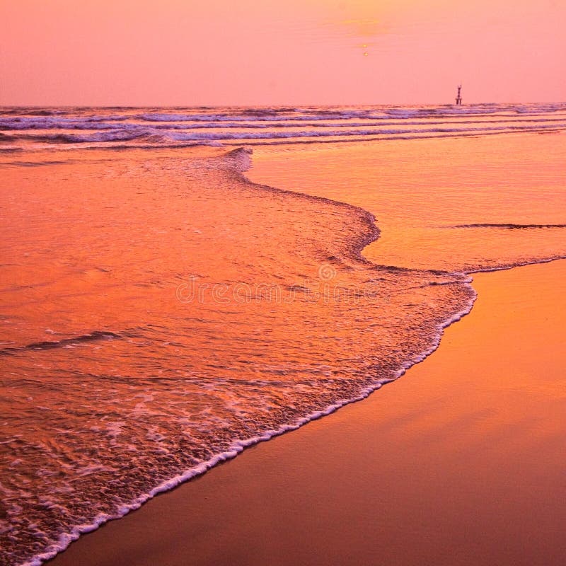 Setting Sun Casting Shadows through a Spinney of Trees Stock Image ...