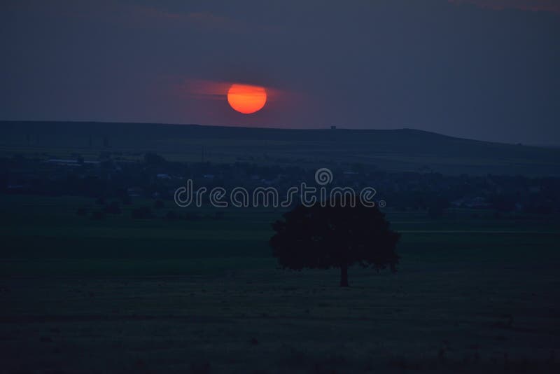 Sun Setting Down Behind a Tree. Stock Photo - Image of orange, sunset ...