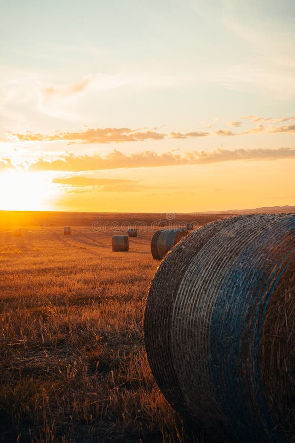 Sun Setting on a Field Scattered with Large Hay Bales in Australia ...