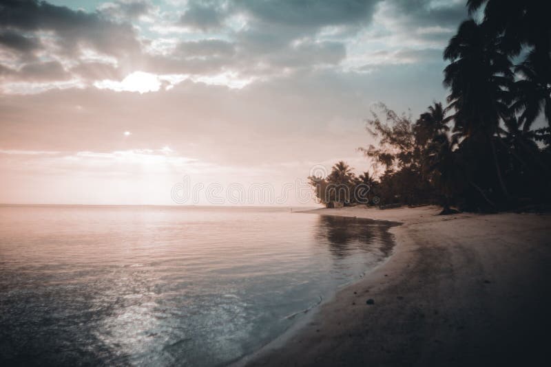 Sun Setting at the French Polynesia Island with Trees Around. Stock ...