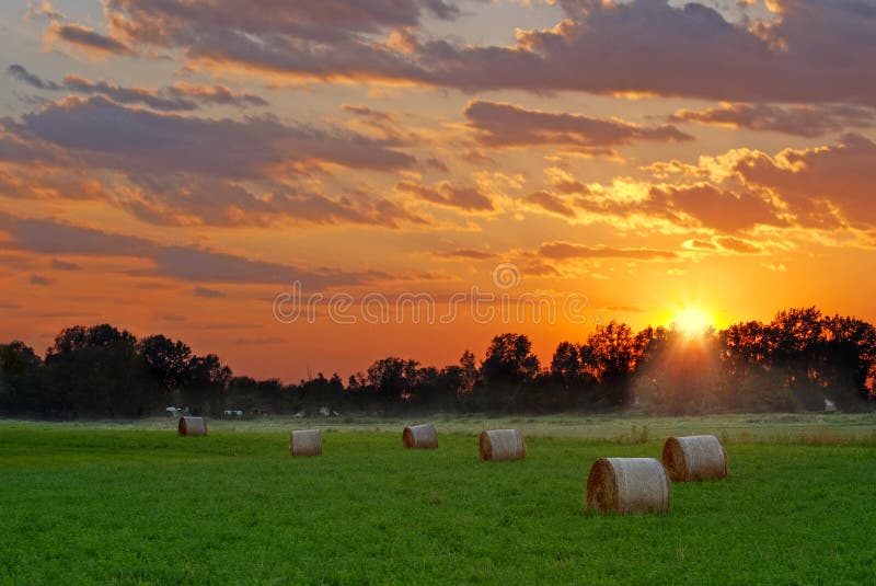 Sun setting on hay field stock photo. Image of crop, natural - 15269468