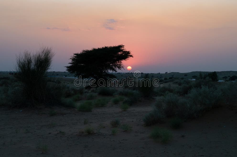 Sun Setting at the Horizon of Thar Desert,Rajasthan, India Stock Photo ...