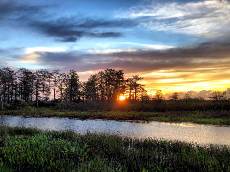 Louisiana Swamp Sunset Silhouette and Reflections Stock Photo - Image ...