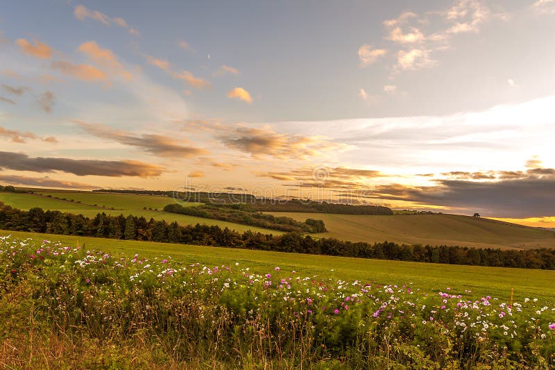 The Sun Setting Over the Fields of Beautiful Wiltshire Stock Image ...
