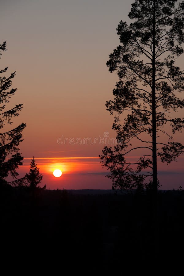 Sun setting over forest stock image. Image of cloudscape - 57661975