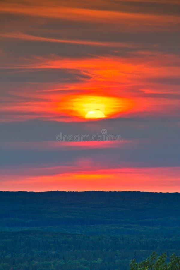 Sunset over a forest stock photo. Image of horizon, national - 125456416