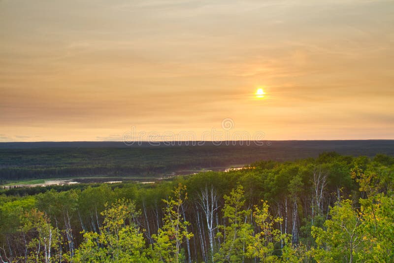 Sunset over a forest stock photo. Image of albert, canada - 125456418
