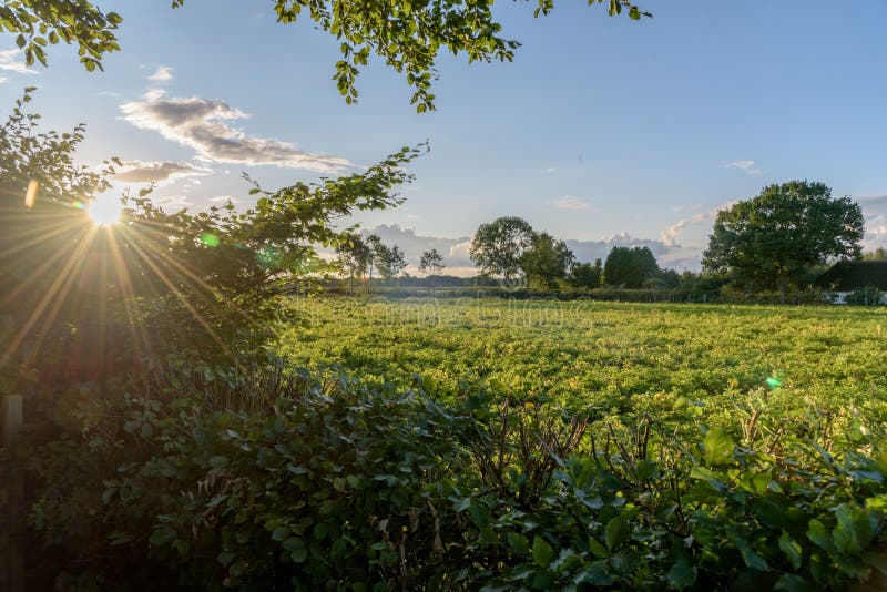 Sun Setting Over Green Field, with Green Trees in Foreground Stock ...