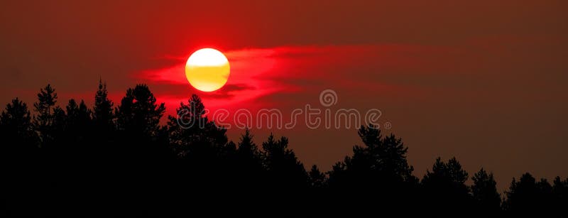 Sun Setting Over Pine Trees Forest Wilderness Peaceful Nature Stock ...