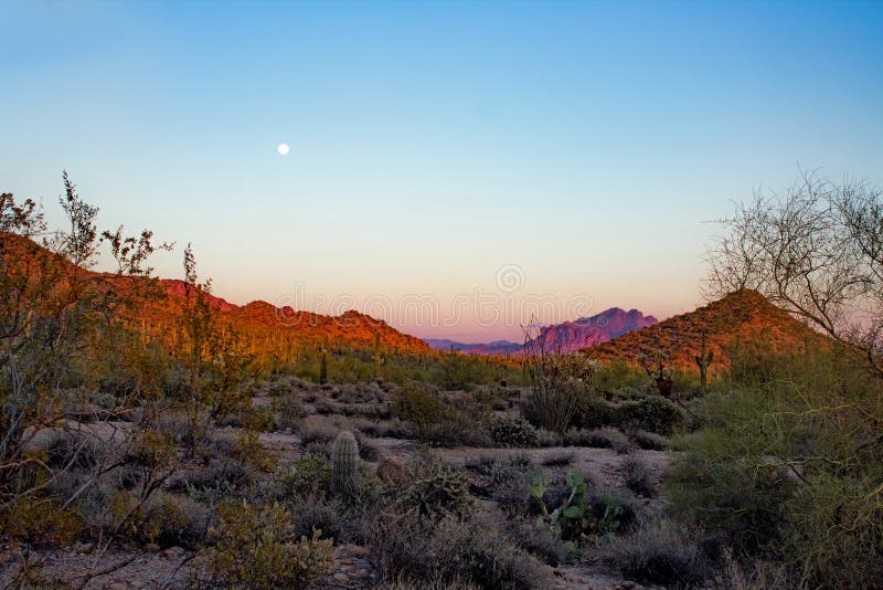 Sonora Desert Golden Hour Stock Photos - Free & Royalty-Free Stock ...