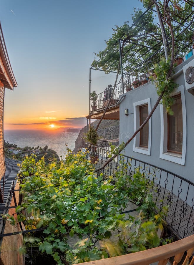 Sun Setting Over the Trees and Buildings while Sun Sets Over ...