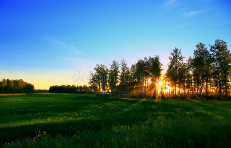 Sun Glare Sky Clouds Over Meadow Trees Stock Photos - Free & Royalty ...