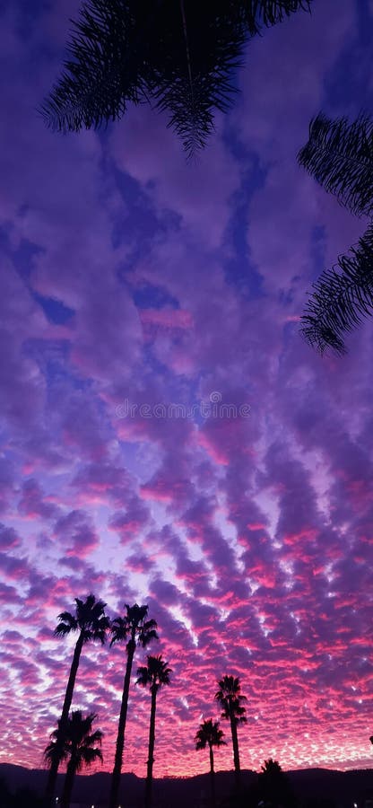 Sun Setting Pink Cloudy Sky Stock Photo - Image of setting ...