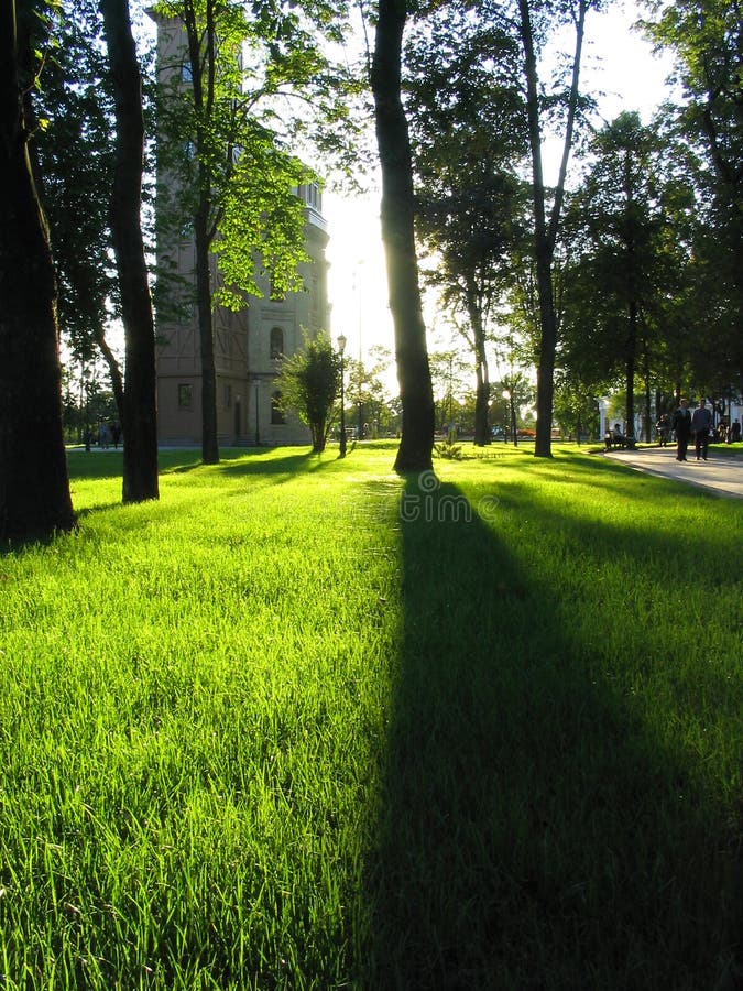 Sun and shadow stock photo. Image of evening, nature, beams - 765388