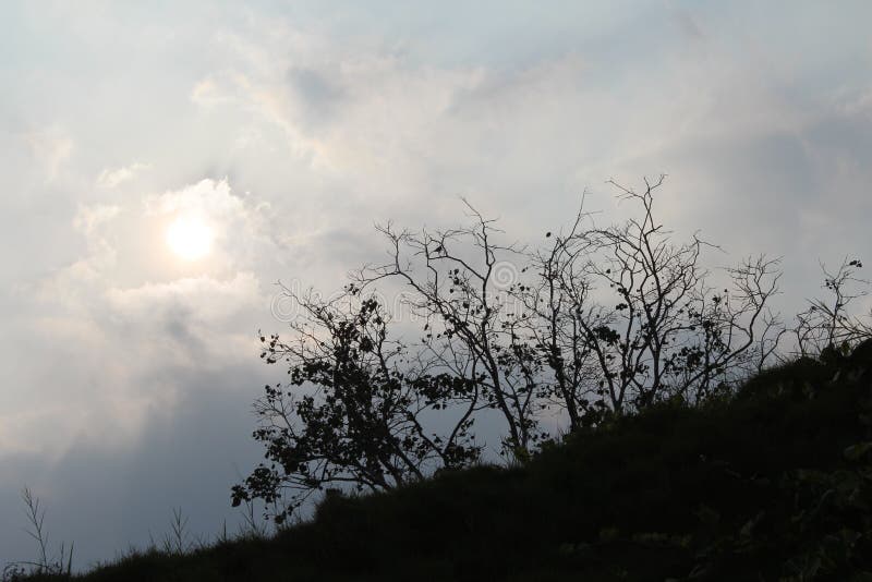 Sun shadow, Sun shadow in nature