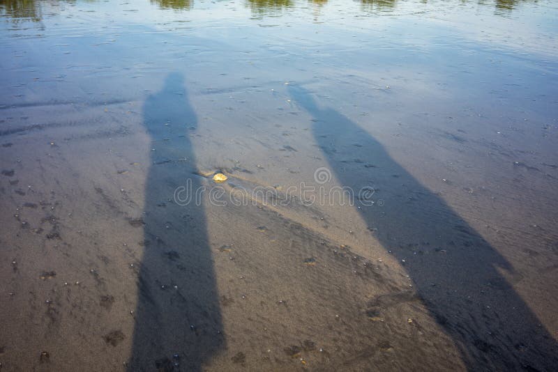 People Shadow on Beach Sand with Water Stock Image - Image of shore ...
