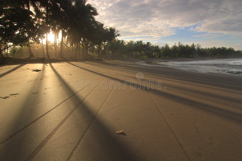 The Sun, the Shadow and the Sand. Stock Photo - Image of shadow, flying ...