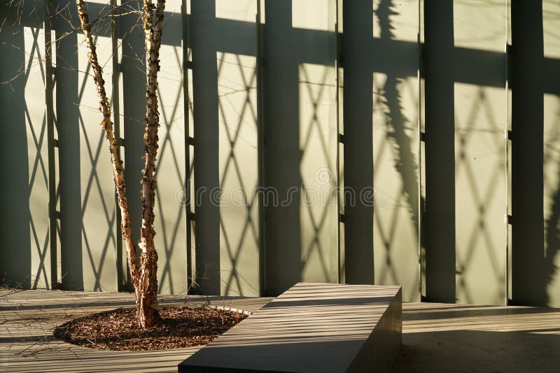 Sun and shadows. stock photo. Image of shadows, wall - 142048254