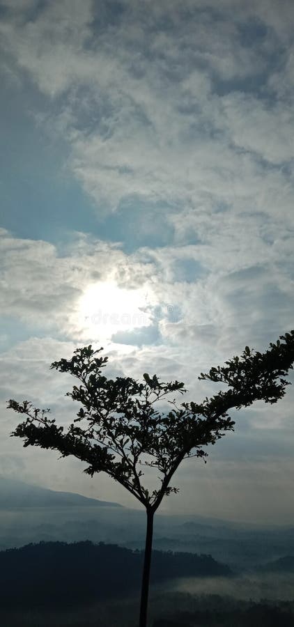 Clouds and tree stock image. Image of meadow, soil, view - 202439027