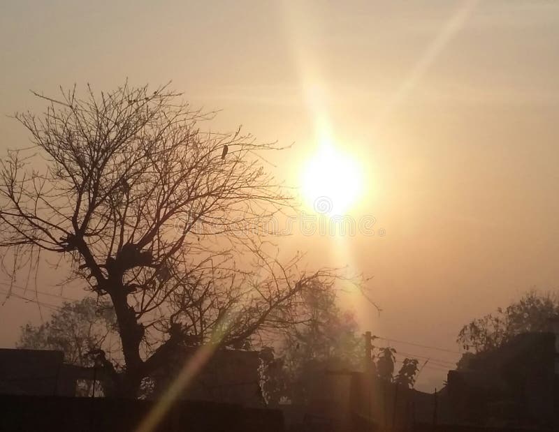 Sun shine stock image. Image of beautiful, shine, morning - 112166069