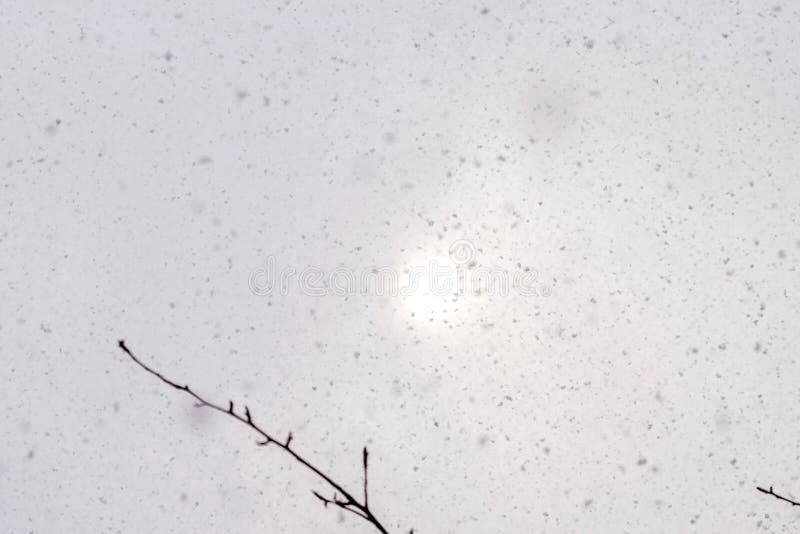 The Sun Shines through Heavy Snowfall Stock Image - Image of weather ...