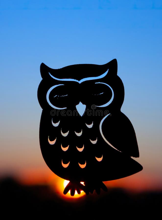 The Sun Shines through the Night Owl. Stock Photo - Image of holes ...