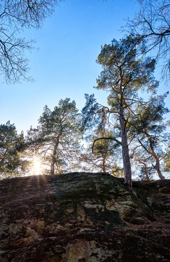 The Sun Shines through the Trees Over a Dark Rock Stock Photo - Image ...