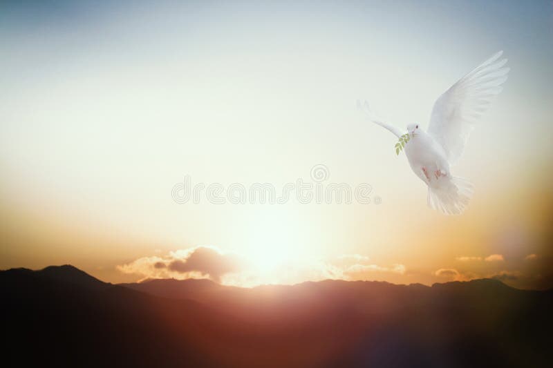 The Light Shining through the Sky and Clouds at Sunset and the White ...