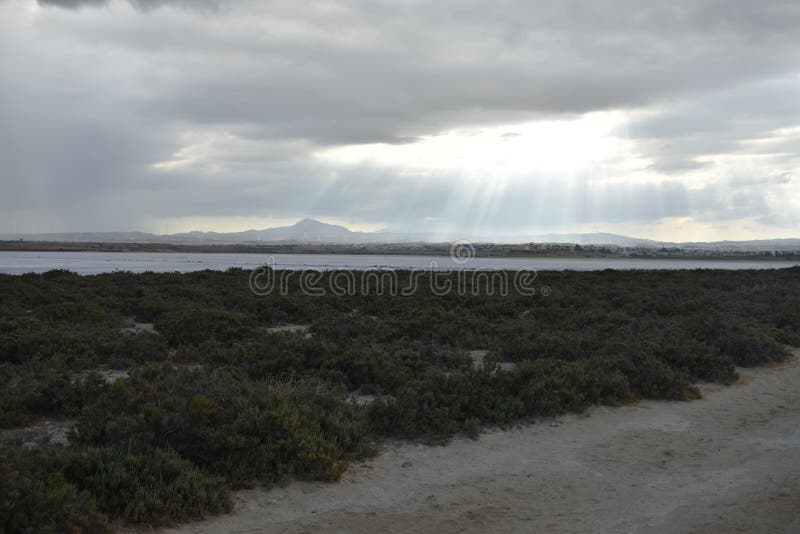 Sun Shining Landscape at Larnaca Salt Lake Cyprus Stock Photo - Image ...