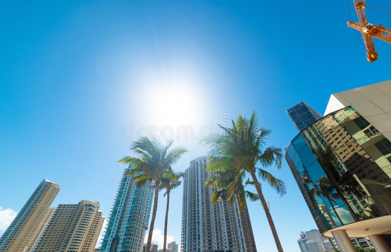Sun Shining Over Downtown Miami Stock Image - Image of downtown ...