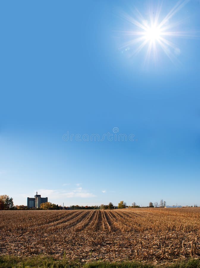 Sun shining over field stock photo. Image of agricultural - 10927344