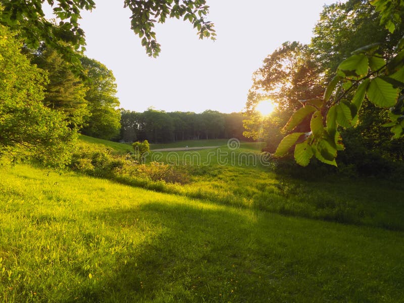 Sun Shining over a meadow stock image. Image of woods - 94073099