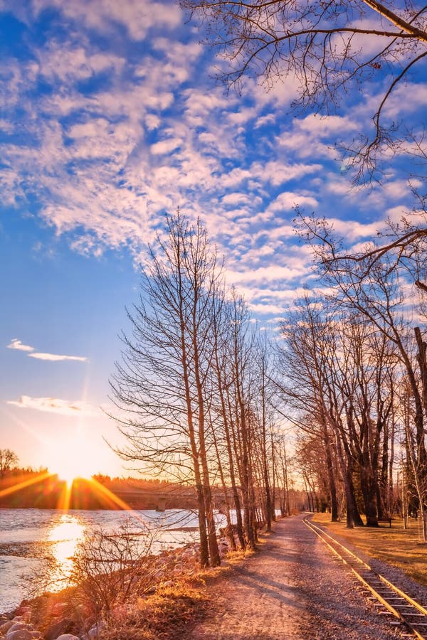 Sun Shining Over a Spring Park Stock Photo - Image of bright, alberta ...