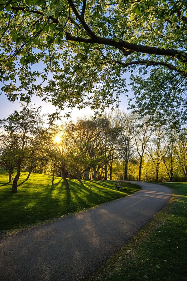 Sun Shining Over a Spring Park Stock Photo - Image of morning, calm ...