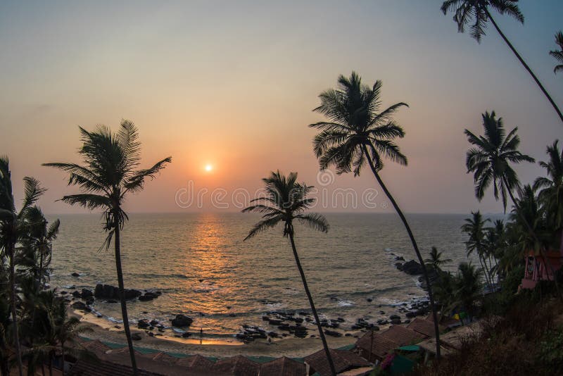 Sunset Visible through Palm Leaves Stock Photo - Image of palmtree ...