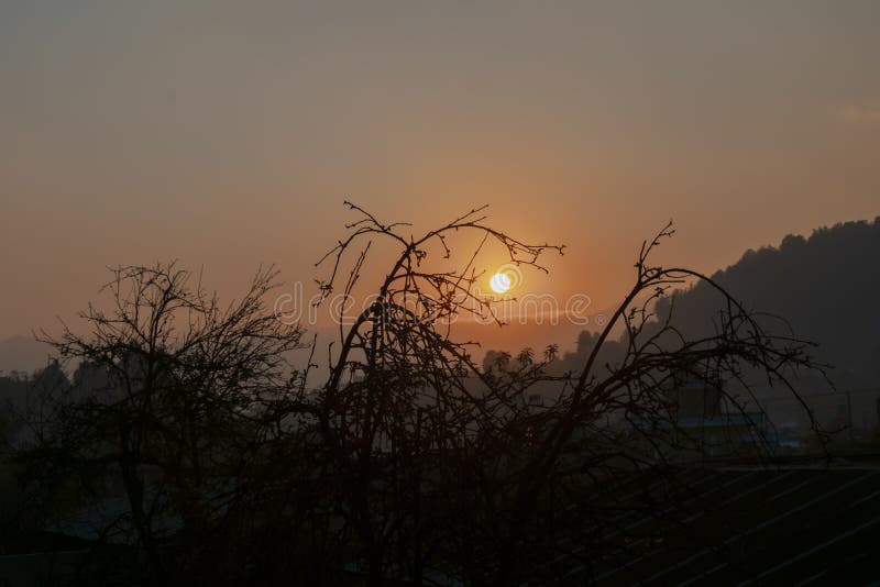 Sun Shining Red between Dry Tree Silhouette Stock Image - Image of tree ...