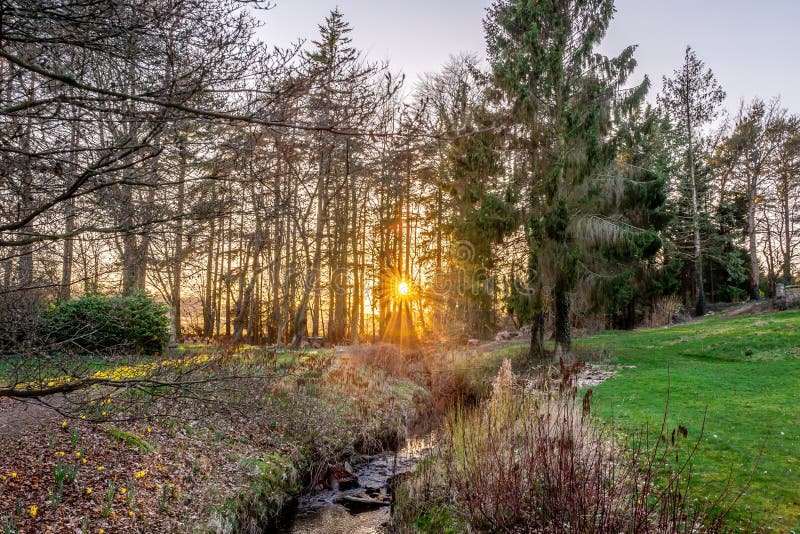 Sun Shining through Trees on a Cold Spring Morning Stock Image - Image ...