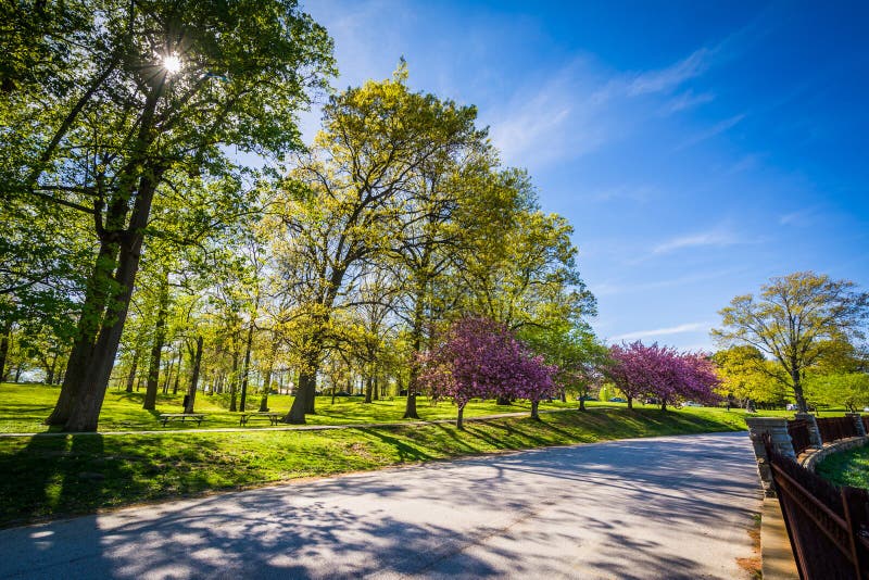 The Sun Shining through Trees at Druid Hill Park, in Baltimore, Stock ...