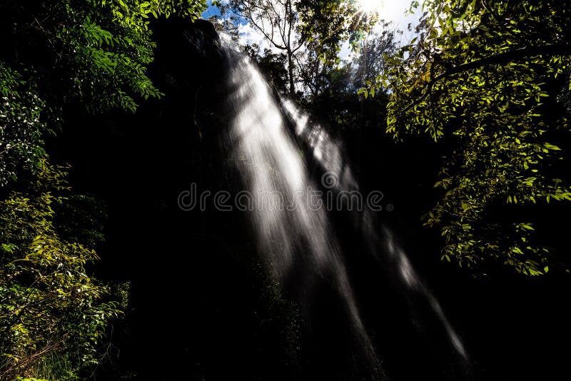 Sun Shining through the Waterfall in a Rainforest. Stock Photo - Image ...