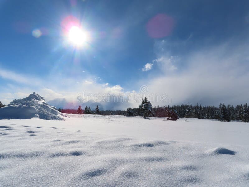 Sun Shining on a White Sheet of Snow Stock Image - Image of shining ...